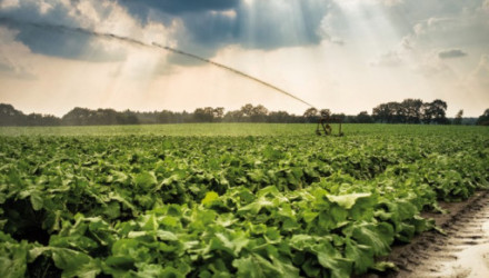 Instructions & How-To's | Raindancer Helpcenter